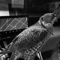 bdr - BeamNG.drive Search - ModLand.net