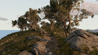 Aussie Bush v1.4 - BeamNG.drive