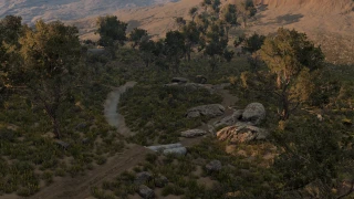 Aussie Bush v1.4 - BeamNG.drive