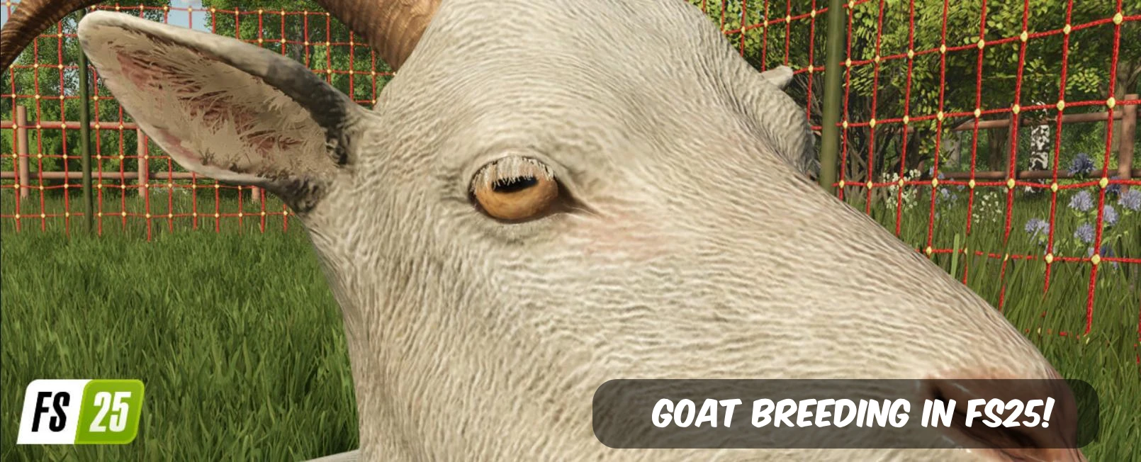 How to Raise Goats in Farming Simulator 25? - FS25