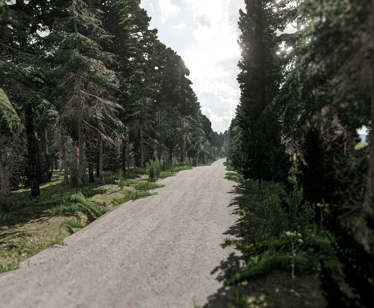 Kanniranni Finland (Rally) Map [Free] Release - BeamNG.drive