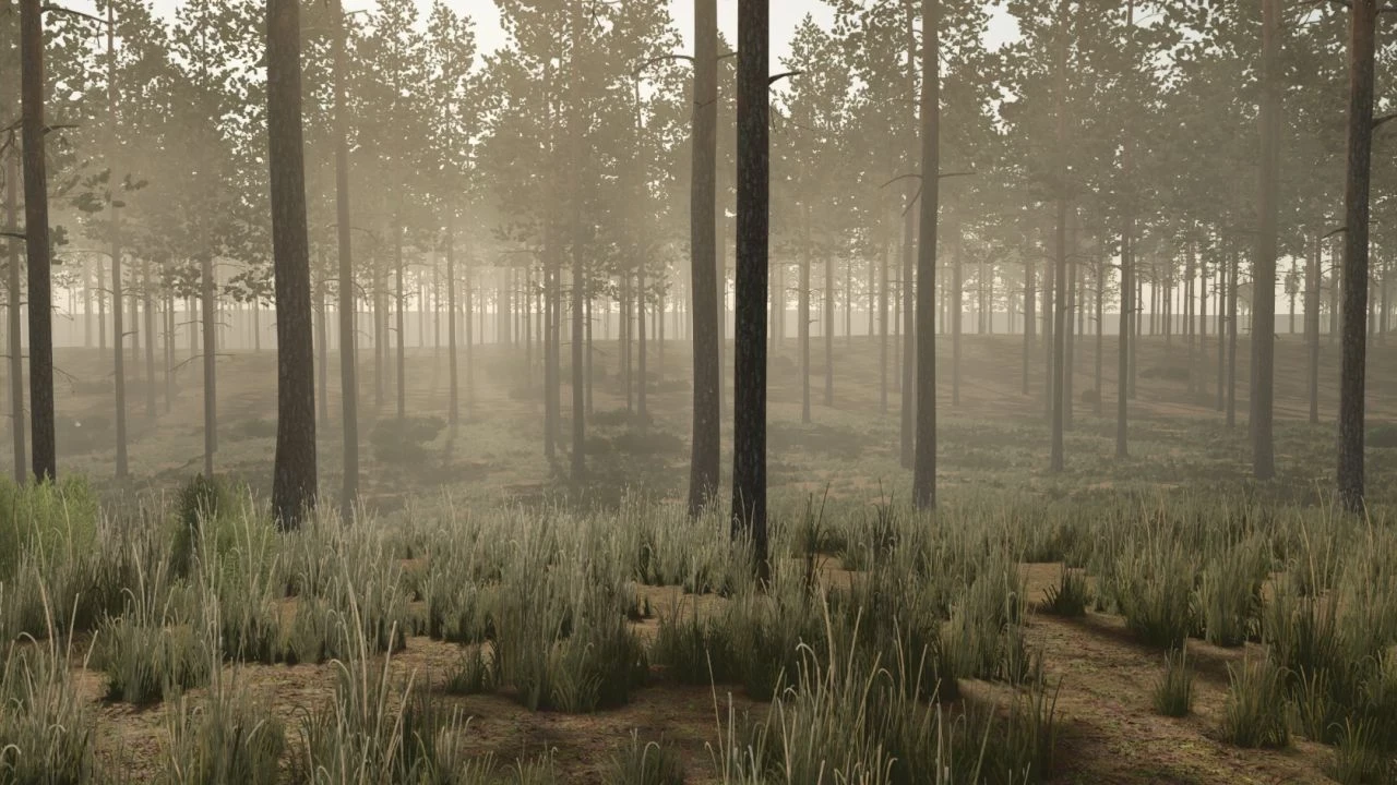 Pinewood Forest 1.6 - FS25
