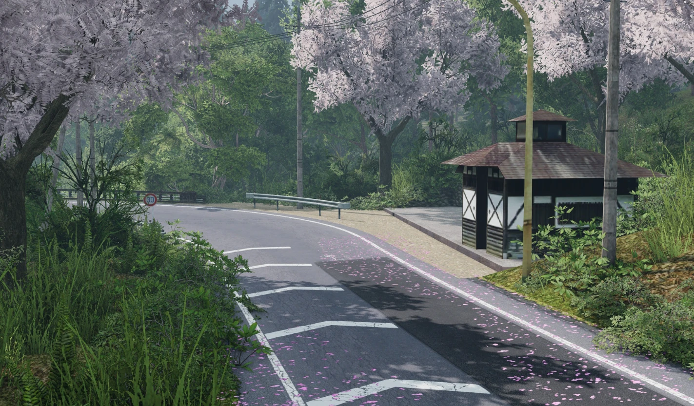 Sadamine Pass (Touge) 3.0.1 - BeamNG.drive