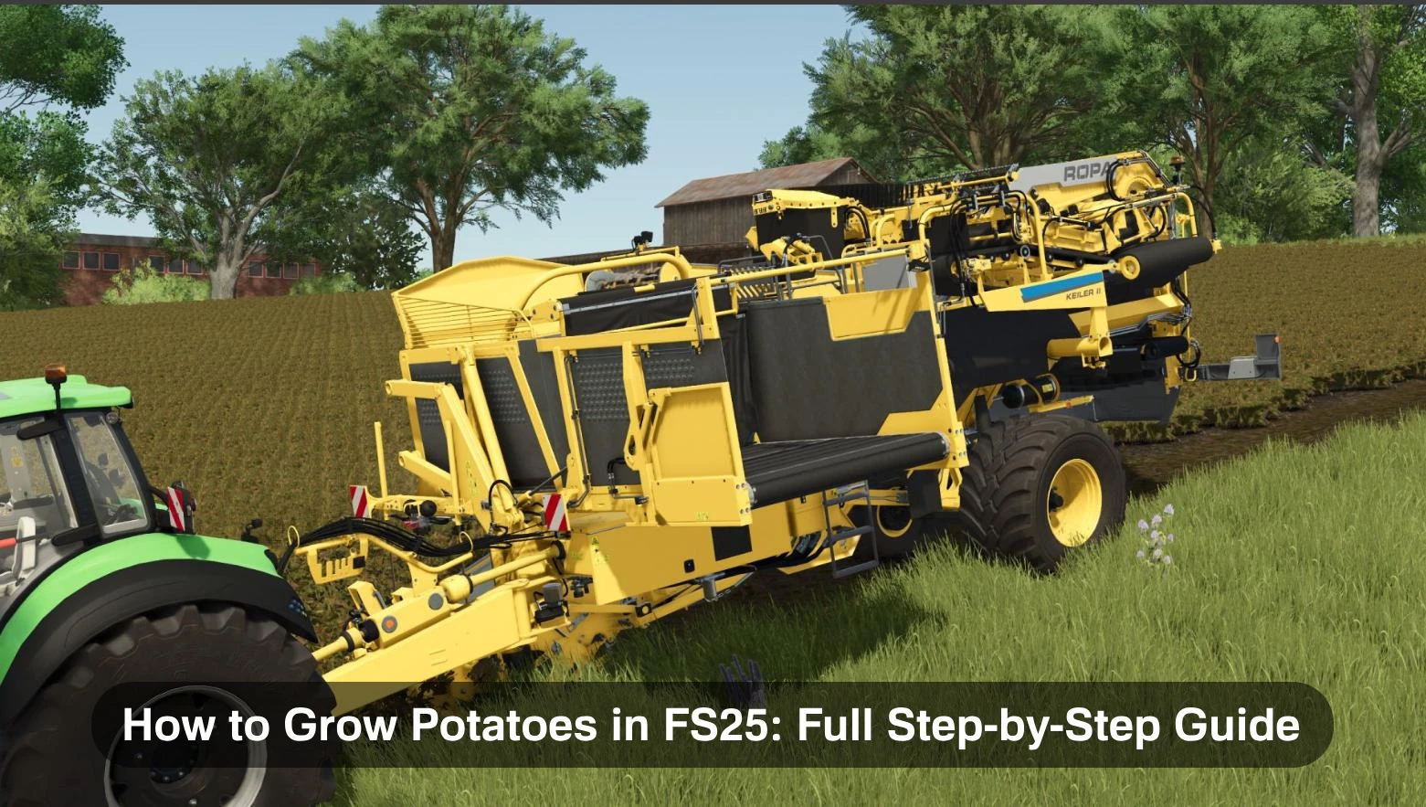 How to Grow Potatoes in FS25: Full Step-by-Step Guide - FS25