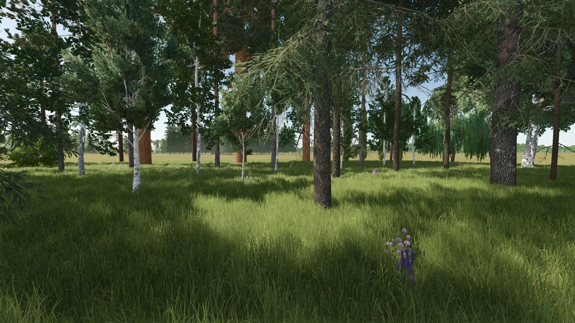New trees types + new tree limit v 1.2 - FS25