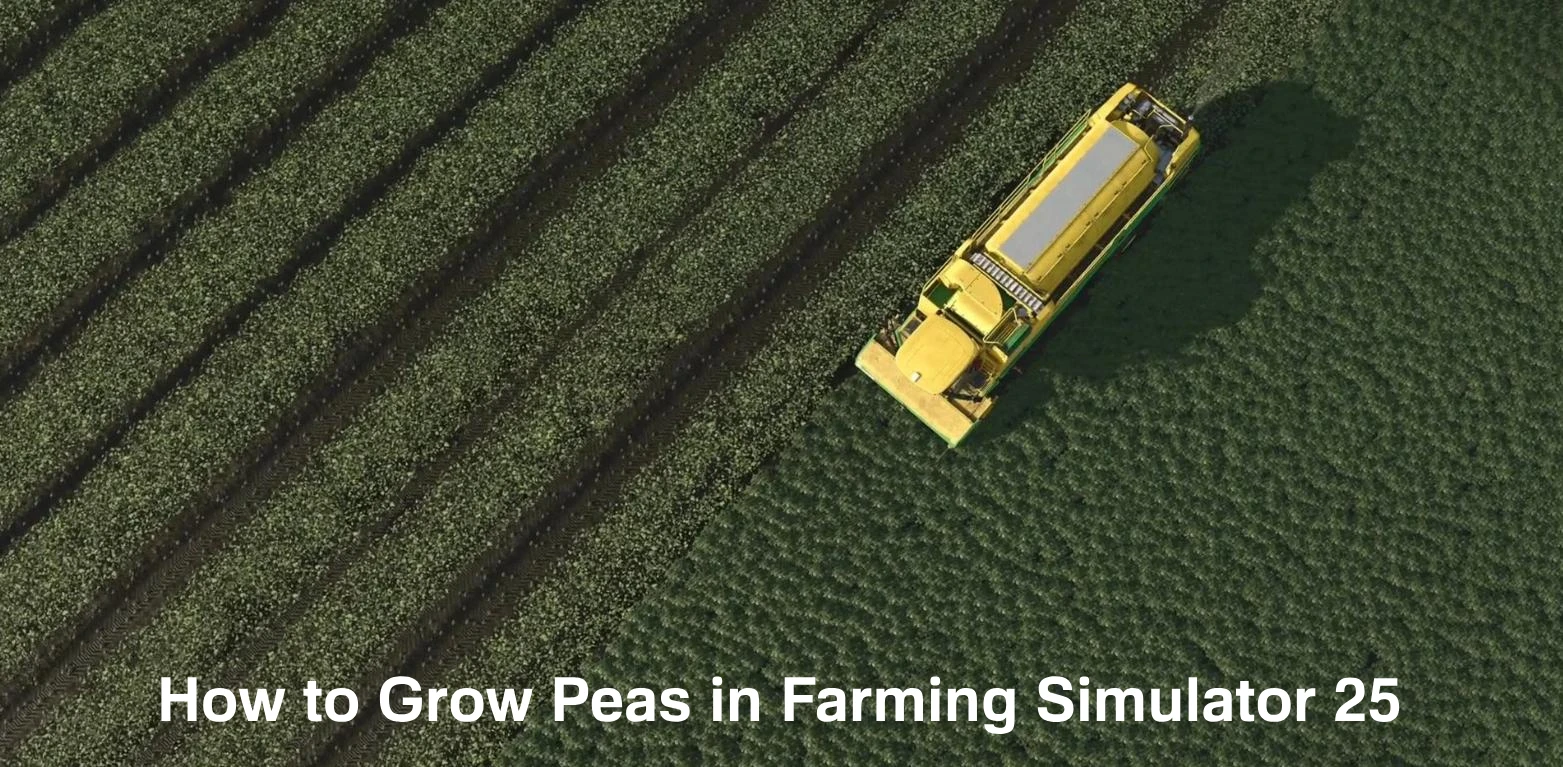 How to Grow Peas in Farming Simulator 25 1 - FS25